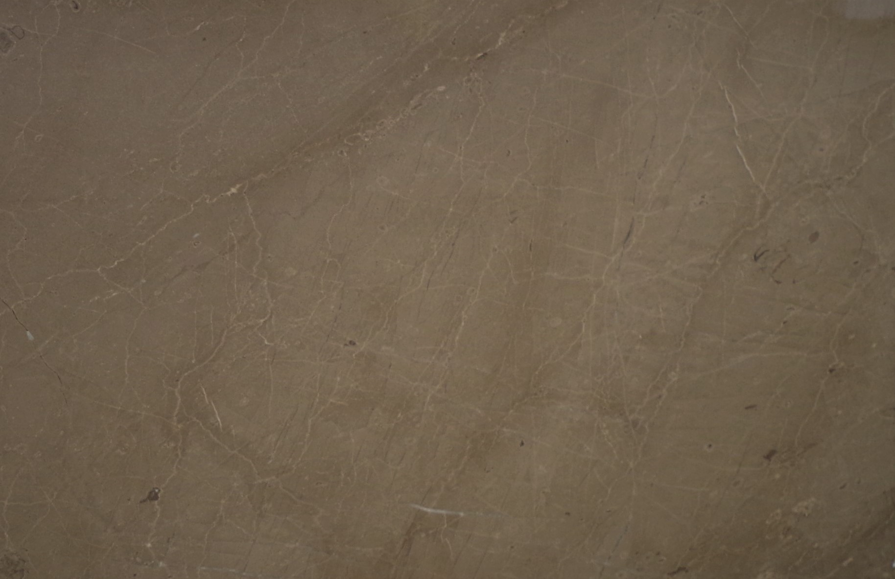 Marble Olive Brown - Slabs and blocks for sale - Ferrari Marmi