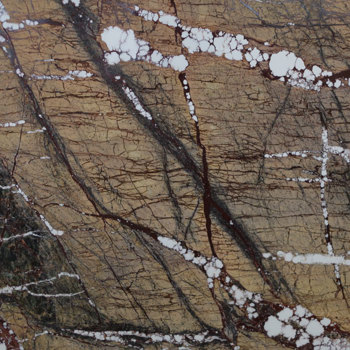 Marble Forest Brown - Slabs and blocks for sale - Ferrari Marmi