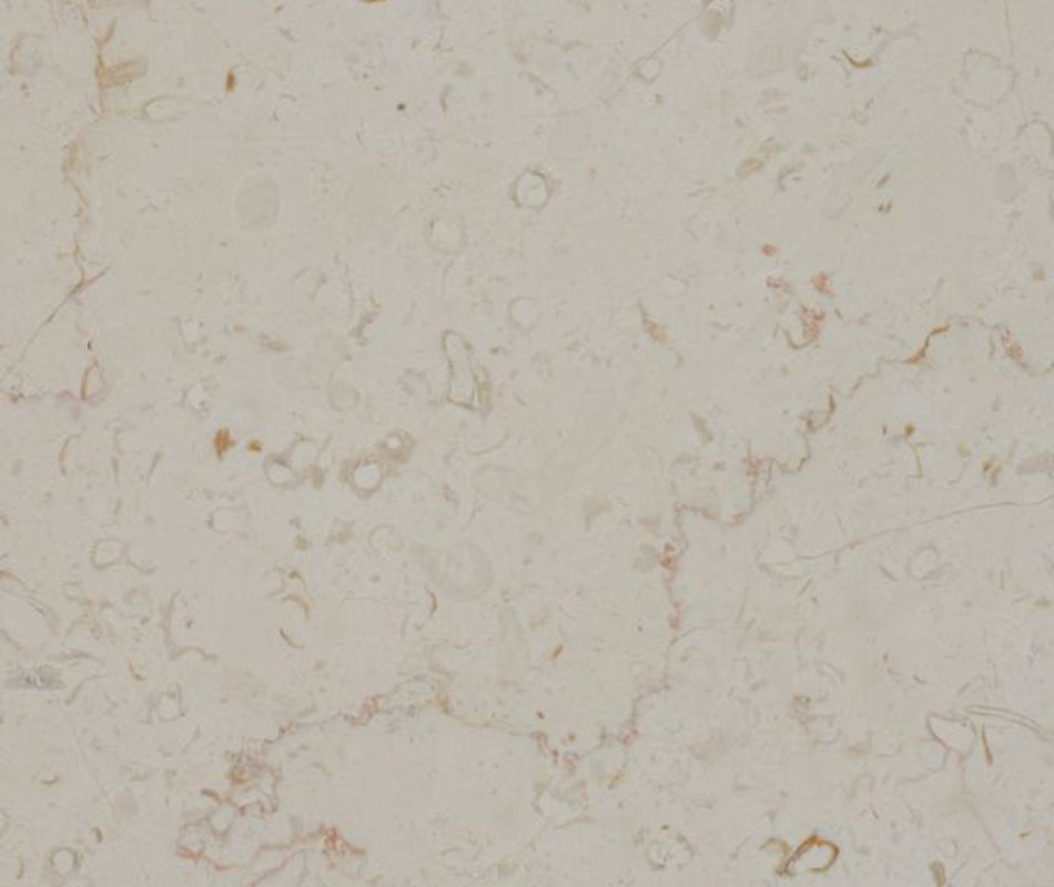 Marble Terrasanta Filetto Rosso - Slabs and blocks for sale - Ferrari Marmi